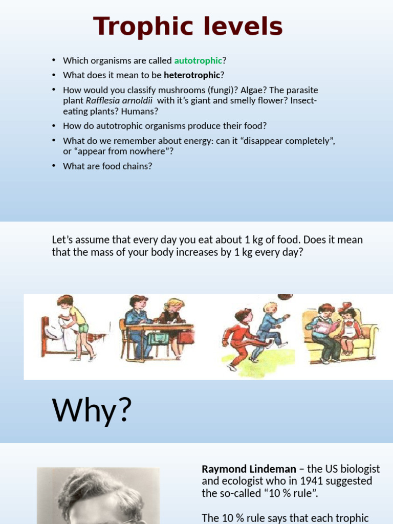 Trophic Levels | PDF