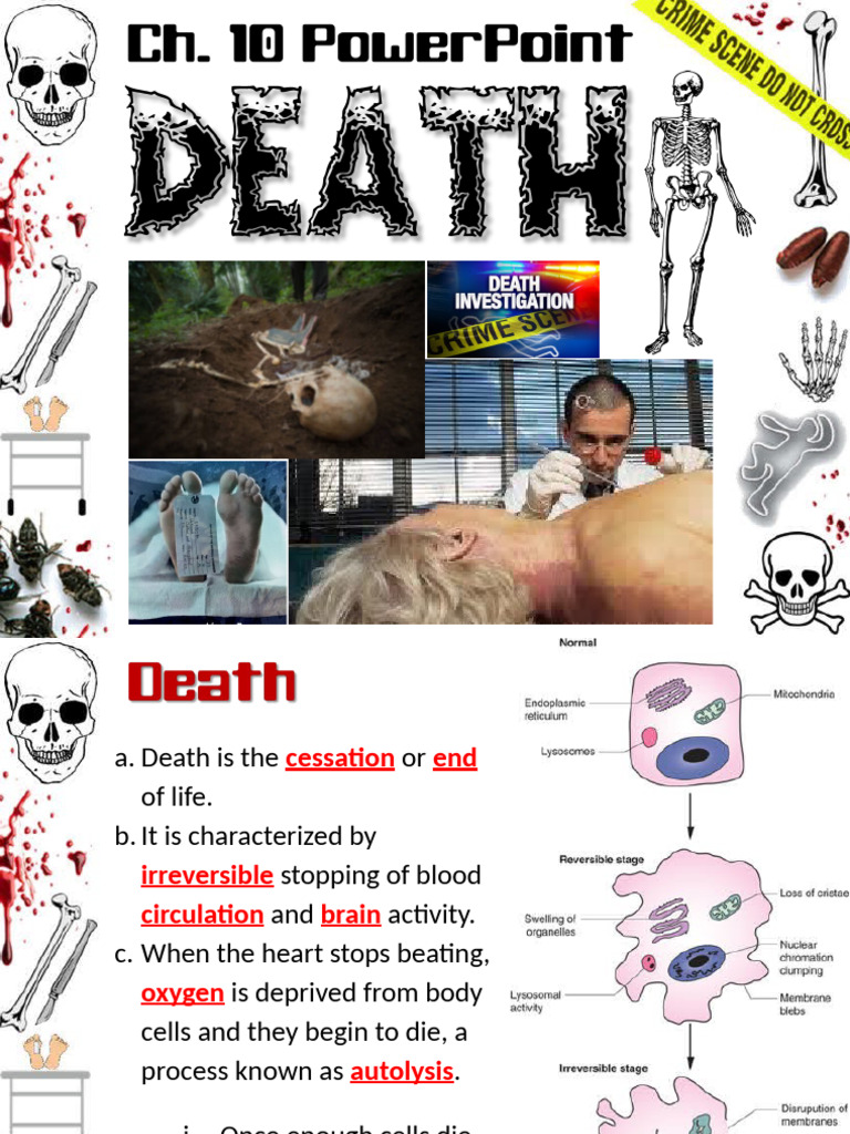 10 - Death PowerPoint Updated 2019 | PDF