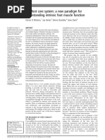 PROPHECY INBONE Surgical Technique | PDF | Ct Scan | Medical Imaging