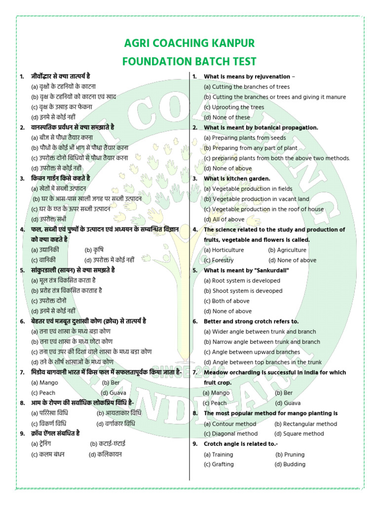 Foundation batch test | PDF