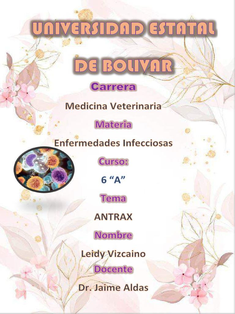 Semana 4_merged_compressed | PDF