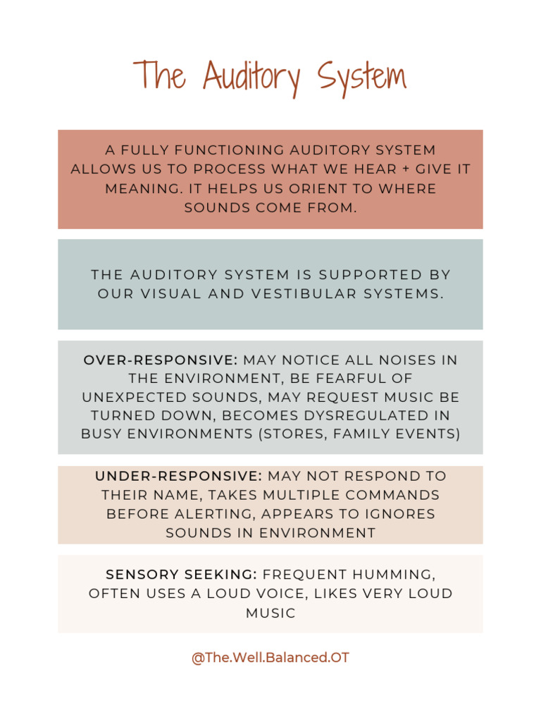 Auditory Info Sheet | PDF