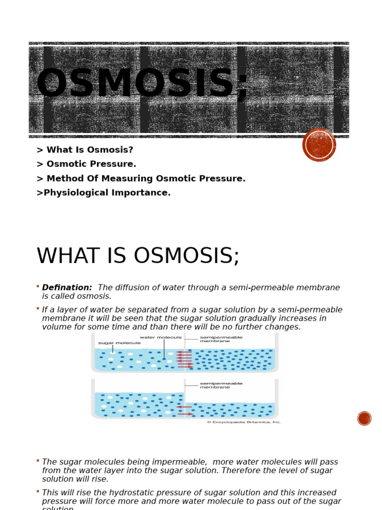 Biophysics Sushmita | PDF