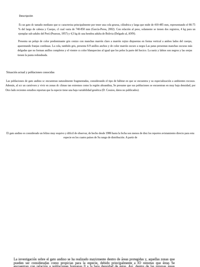 Libro Rojo Word | PDF