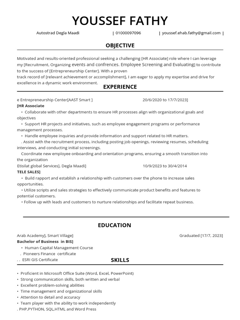 Youssef Fathy CV | PDF
