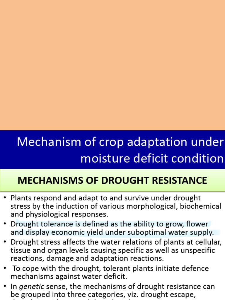 Mechanism of Drought Resistance | PDF