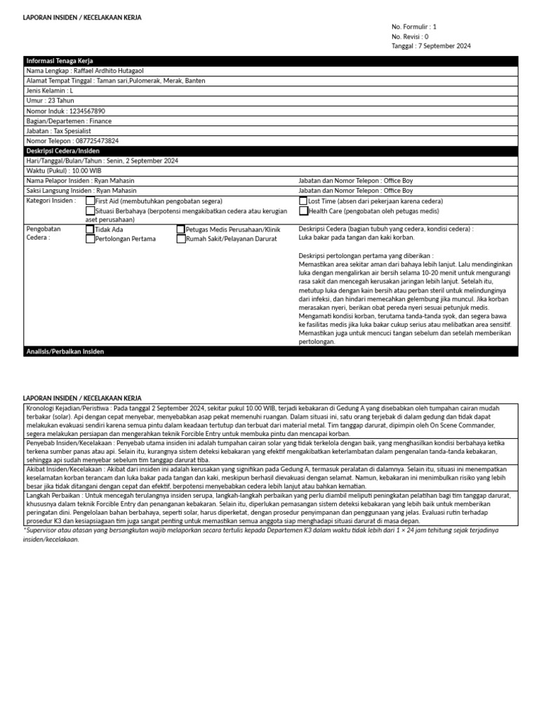 TPD 3 - Incident Report | PDF