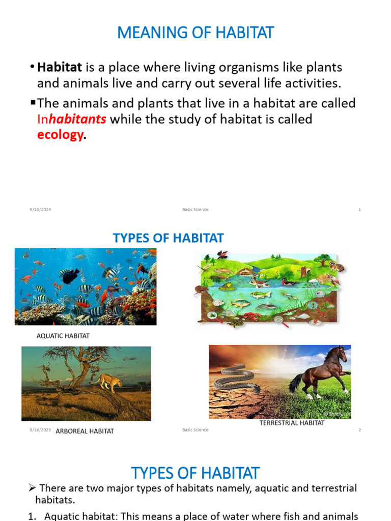 1024_habitat and adaptation | PDF