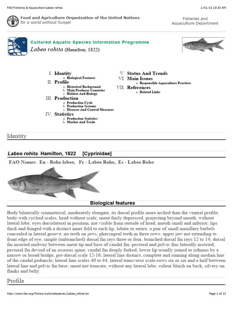 FAO Fisheries & Aquaculture Labeo rohita | PDF