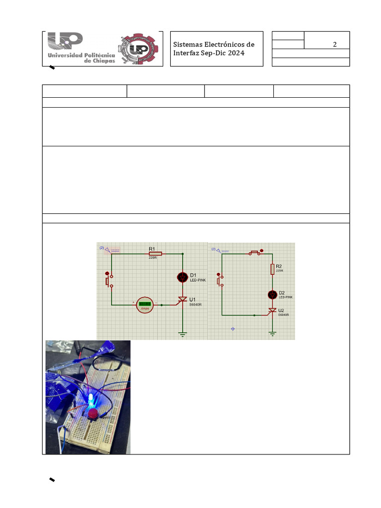 Formato Reporte scr | PDF
