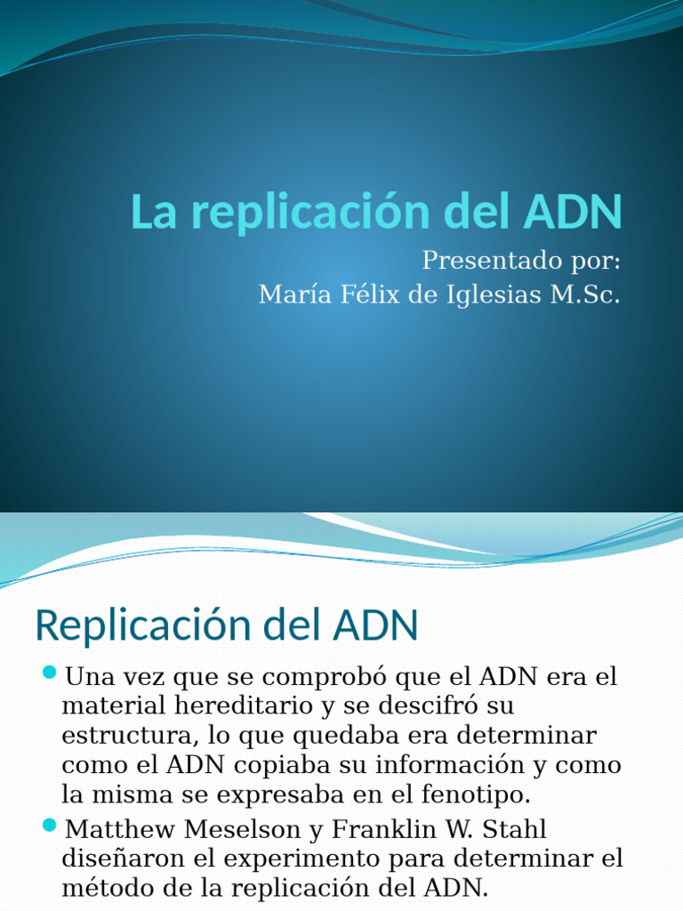 La Replicación Del ADN | PDF | Replicación De Adn | Adn