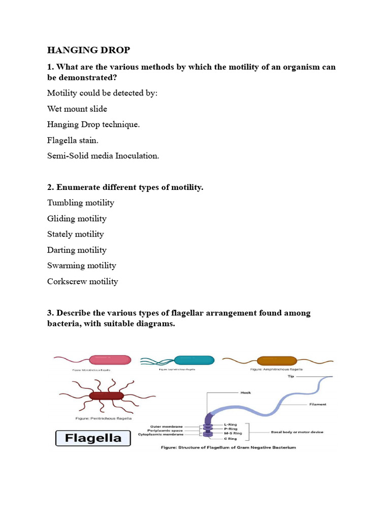 Hanging Drop Word | PDF