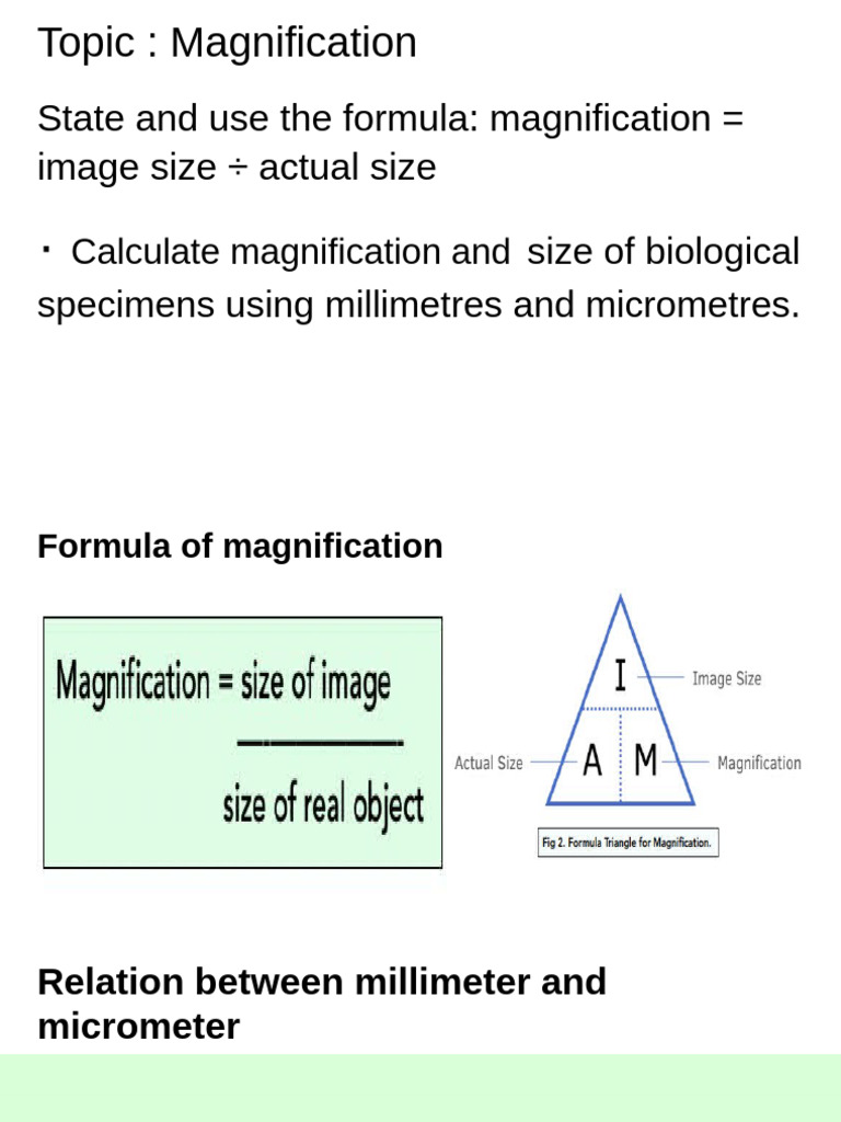 Magnification | PDF