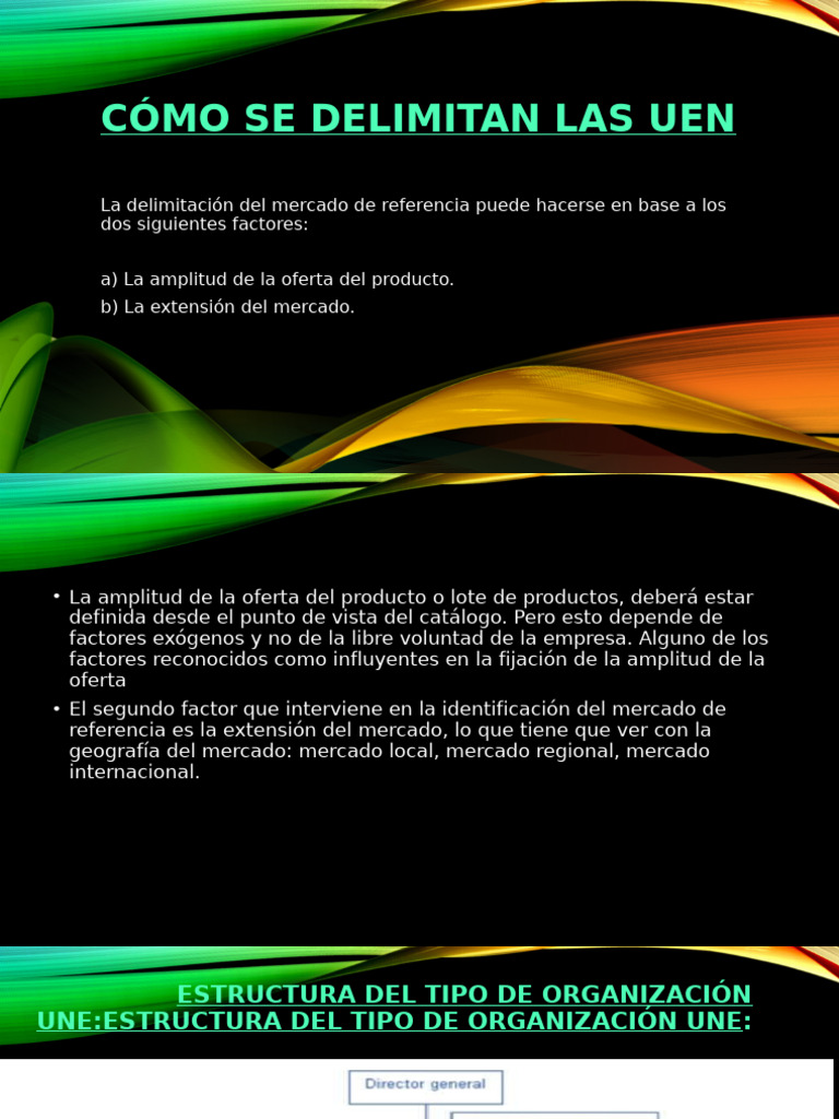 General CÓMO SE DELIMITAN LAS UEN | PDF