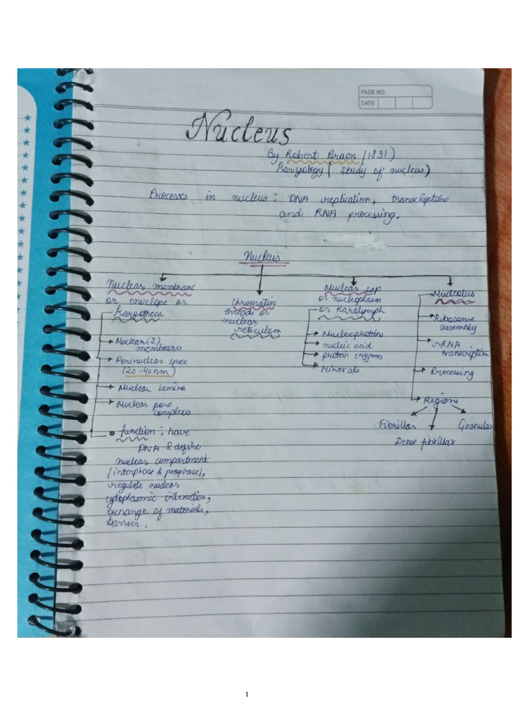 Nucleus Notes | PDF