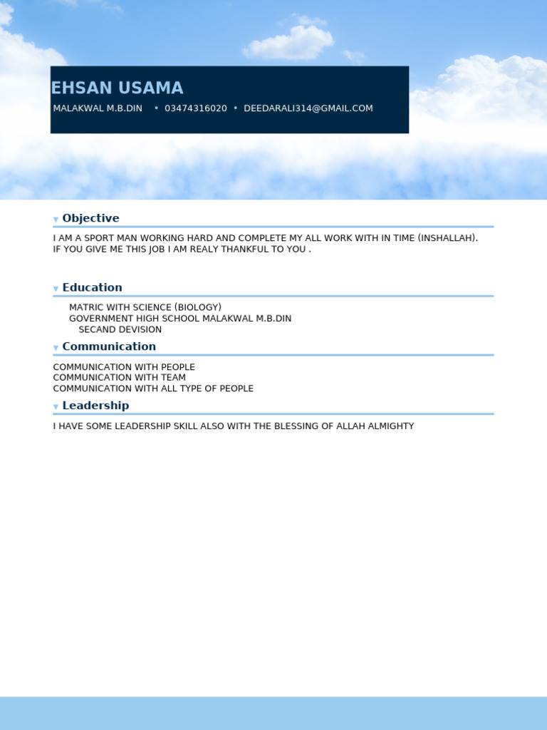 Ehsan Usama CV | PDF