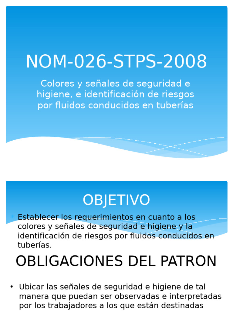 Nom 026 STPS 2008 | PDF