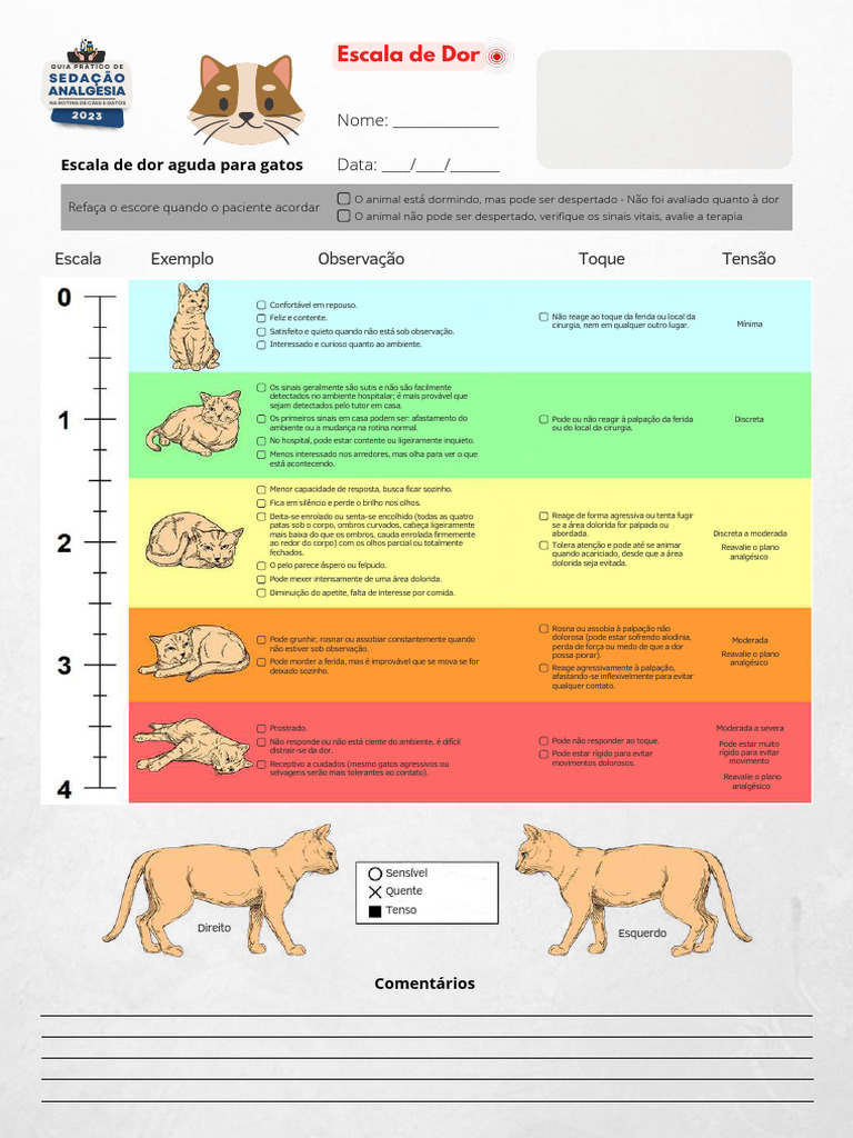 Escala de Dor Gatos | PDF
