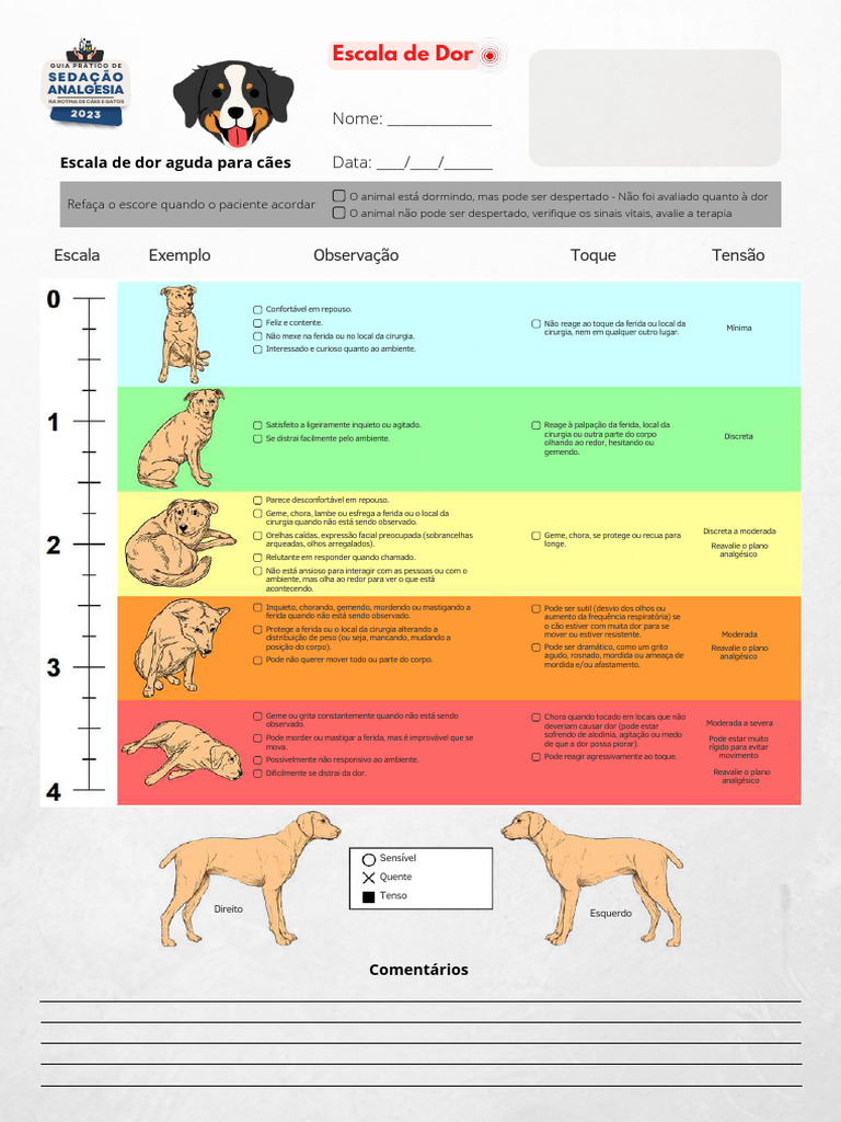 Escala de Dor Cães | PDF