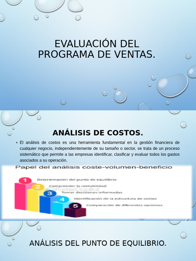 Evaluación Del Programa de Ventas | PDF