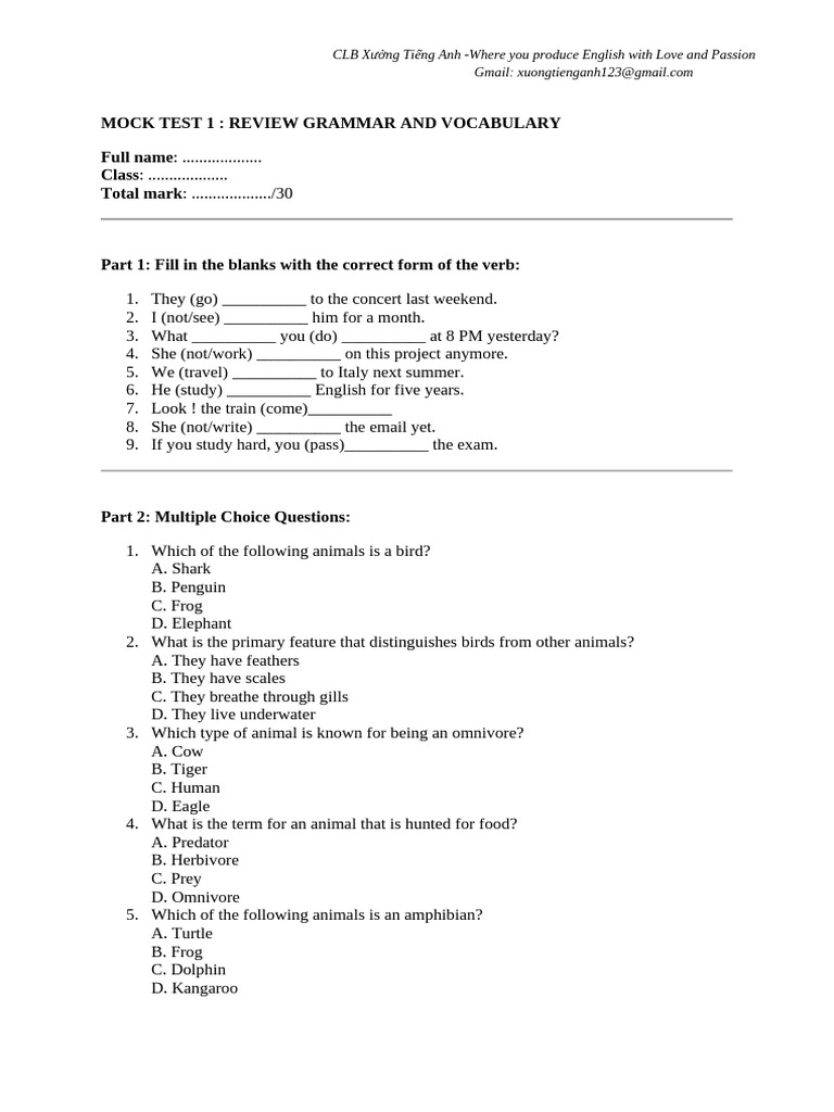 Test 3 - Review Grammar and Vocabulary | PDF