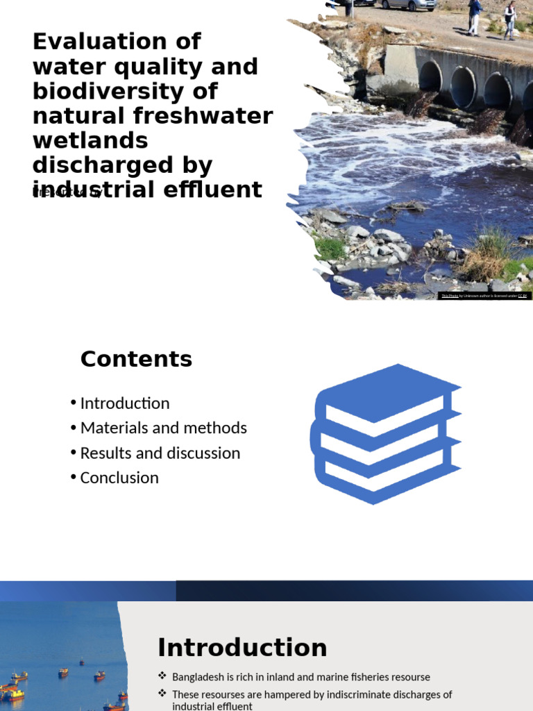 Water Pollution | PDF