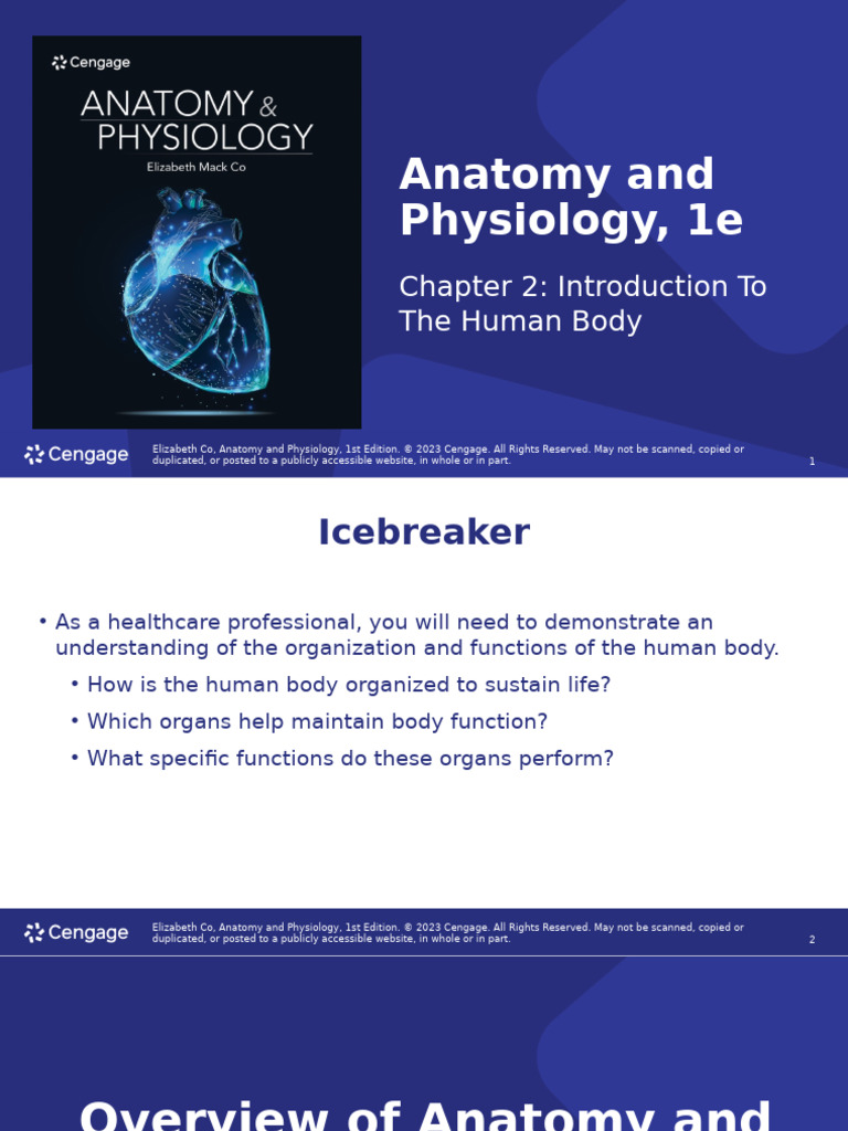 Co A&P 1e PPT CH02 Revise p2 | PDF