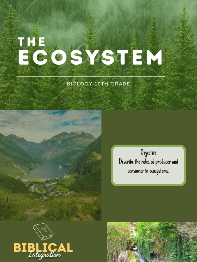 Ecosystem Geography Social Science | PDF
