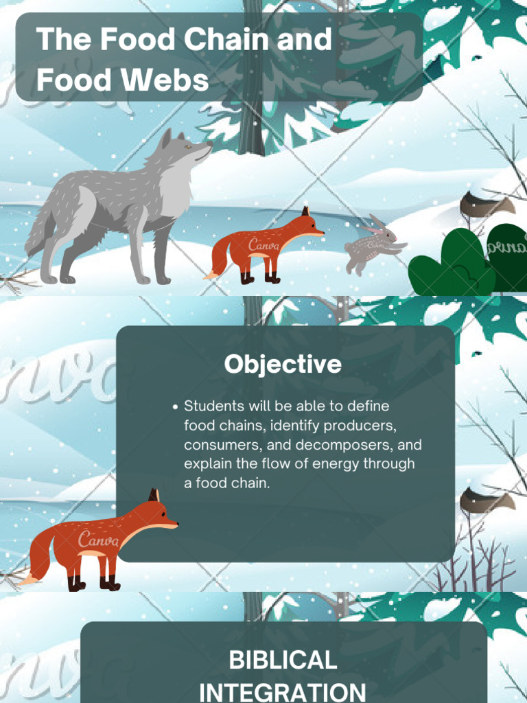 Food Chain Presentation | PDF