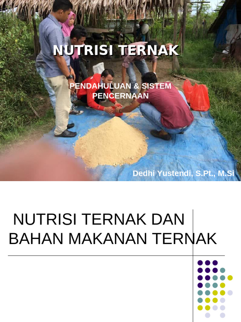Nutrisi Ternak | PDF