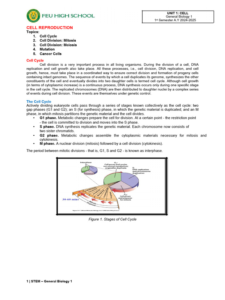 Module 5 - Cell Reproduction | PDF