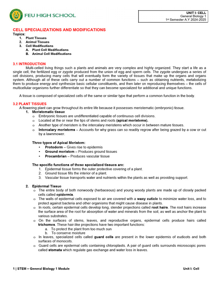 Module 3 - Cell Specialization and Modification | PDF