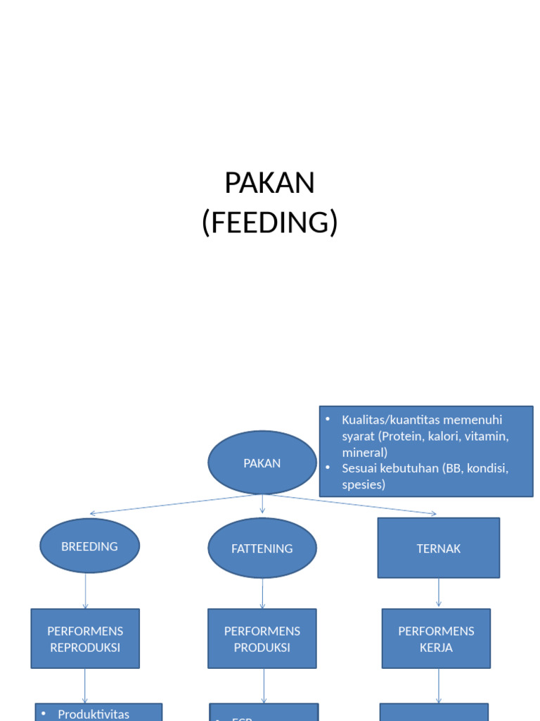 Manajemen Pakan | PDF
