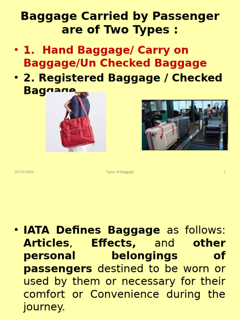 Types of Baggage Allowance | PDF