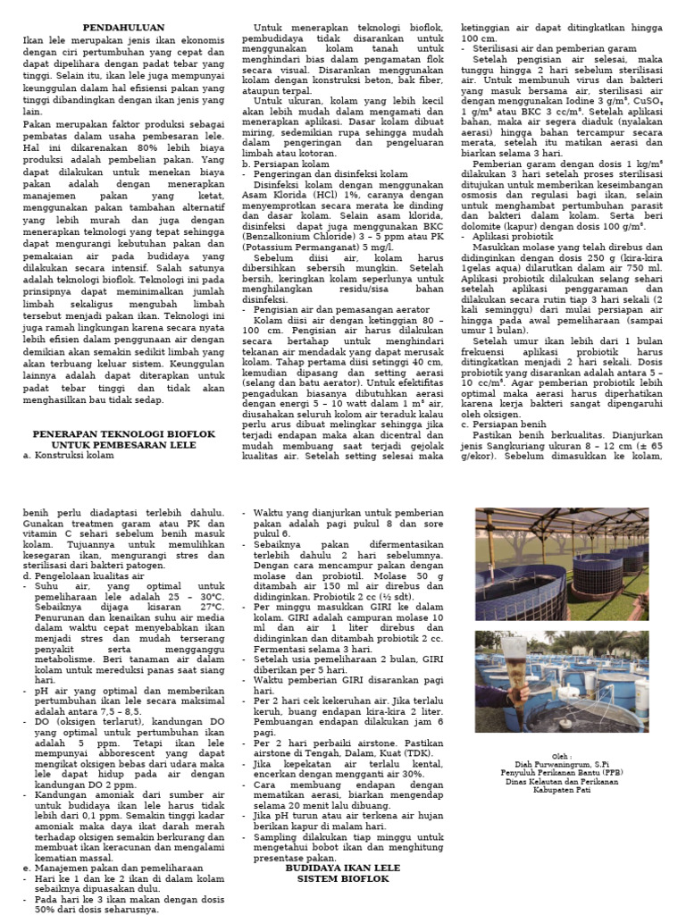 Budidaya Lele Sistem Bioflok - Diah | PDF
