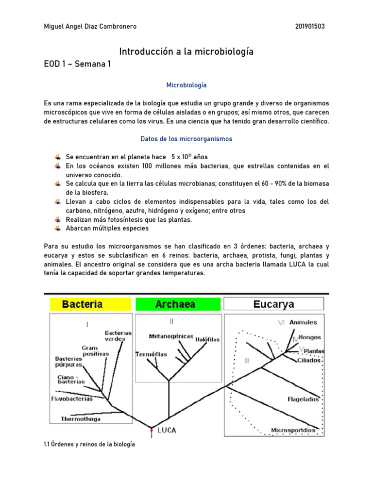 Micro - Resumen Todo El Año | PDF