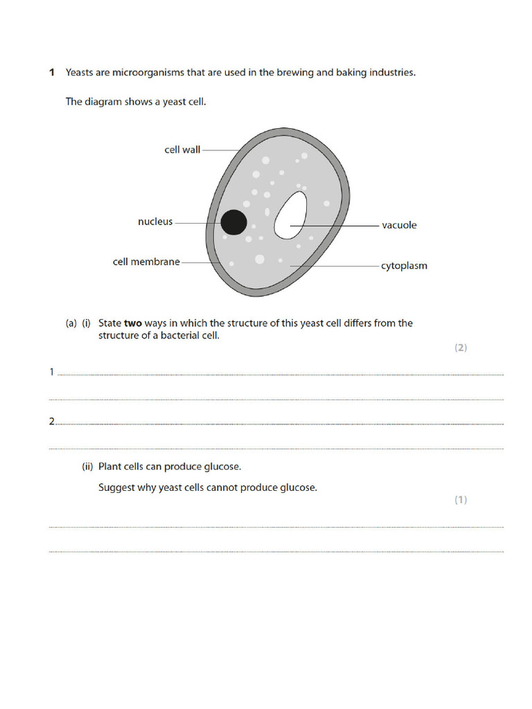 Cell Basics QP | PDF