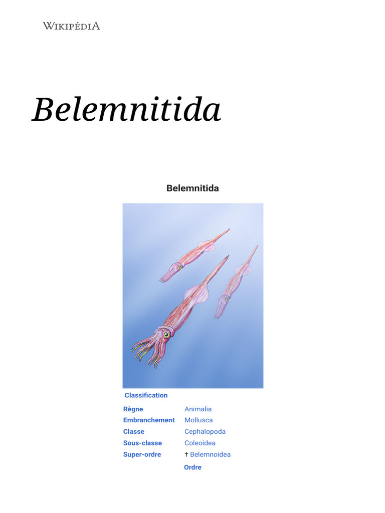 Belemnitida - Wikipédia | PDF