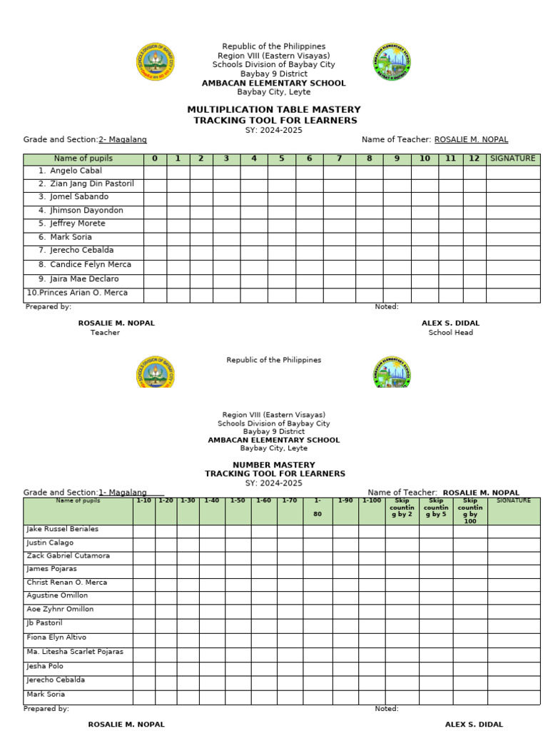 Multiplication Mastery Tool | PDF