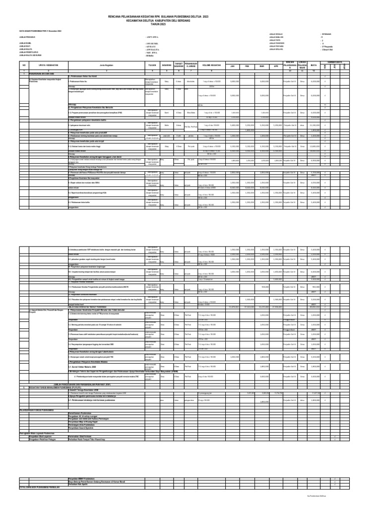 RPK Jan-Agus PKM DELITUA TAHUN 2023 | PDF