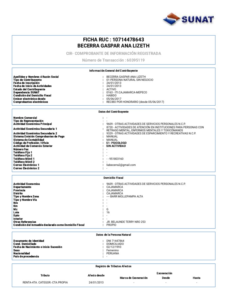 Sunat - Menú Sol | PDF