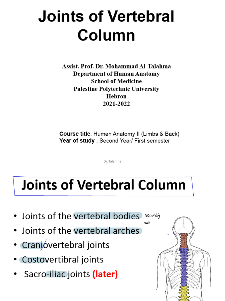 Joints of Vertebral Column. 2 | PDF