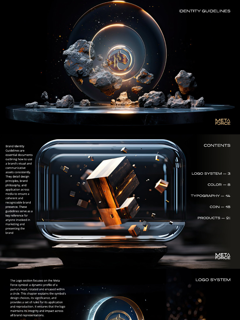 Meta_Force_Identity_Guidelines_2024 | PDF