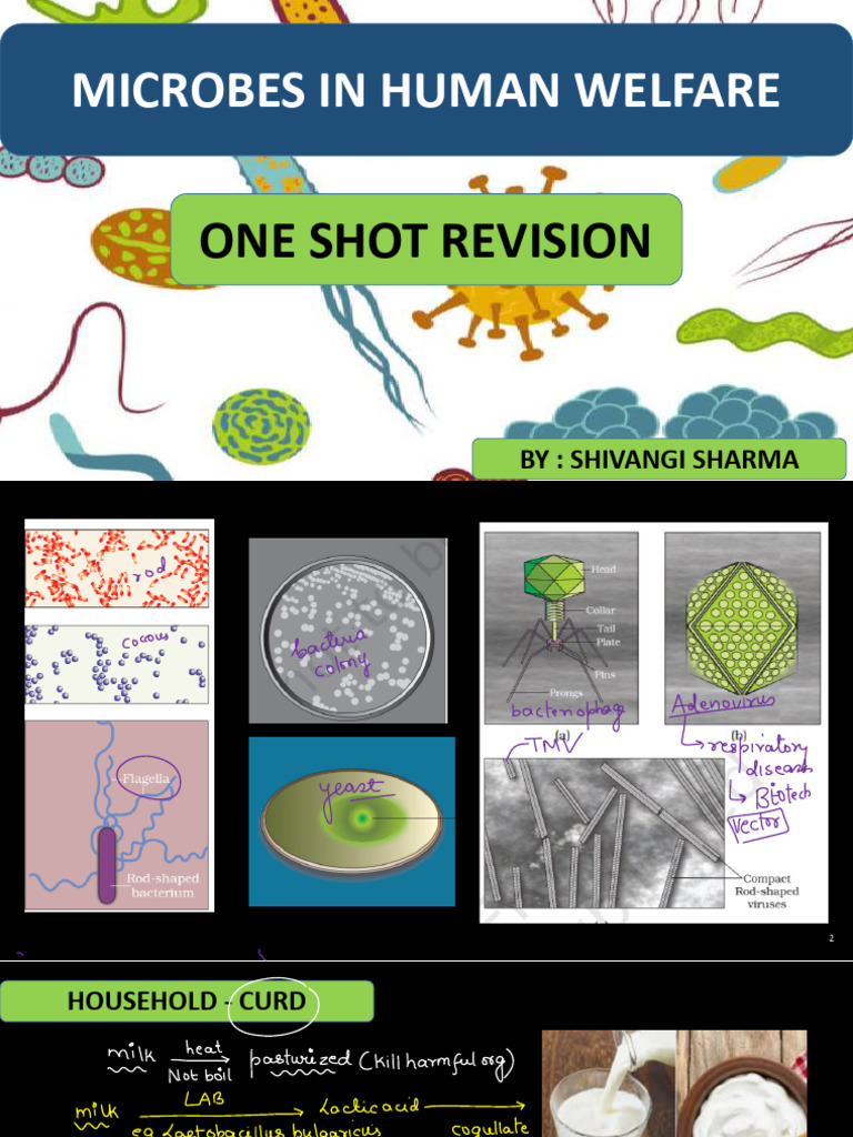 Microbes in Human Welfare Biology Class 12 Cbse by Shivangi Mam | PDF