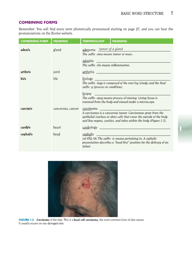 Combining Forms - Chapter 1 | PDF