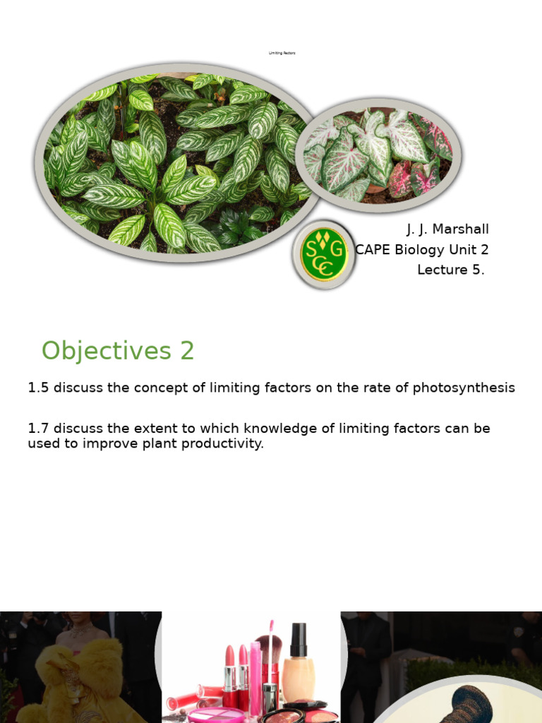 Limiting Factors | PDF