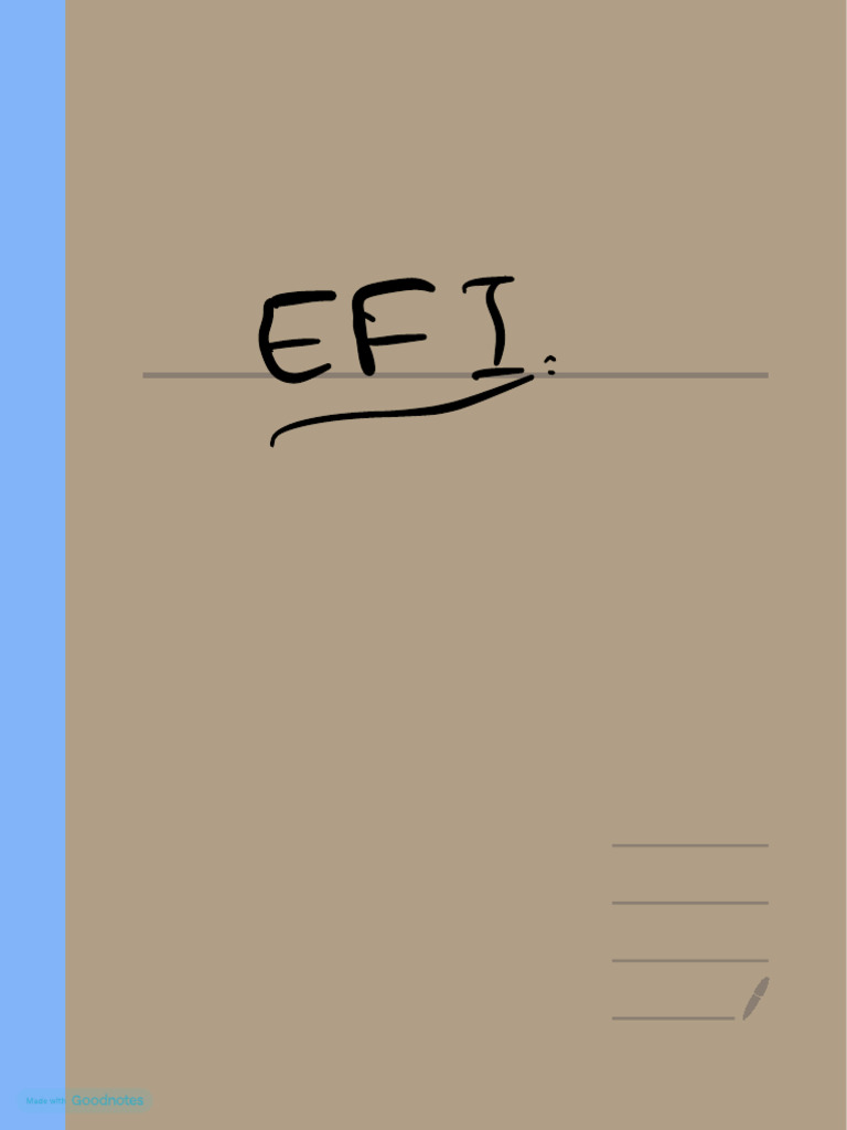 EFI | PDF