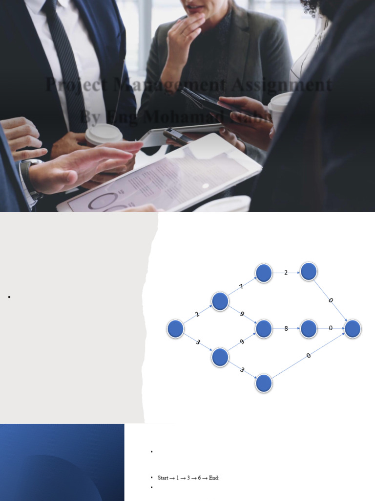 Project Management Assignment | PDF