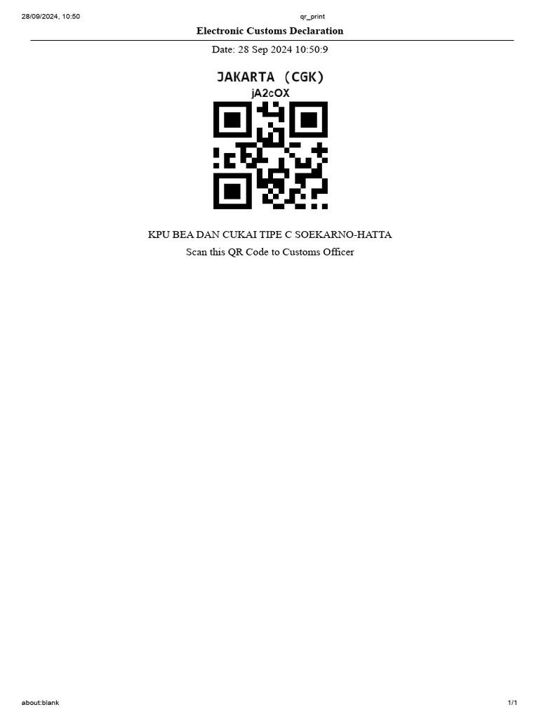 Indonesia Custom Declaration QR | PDF