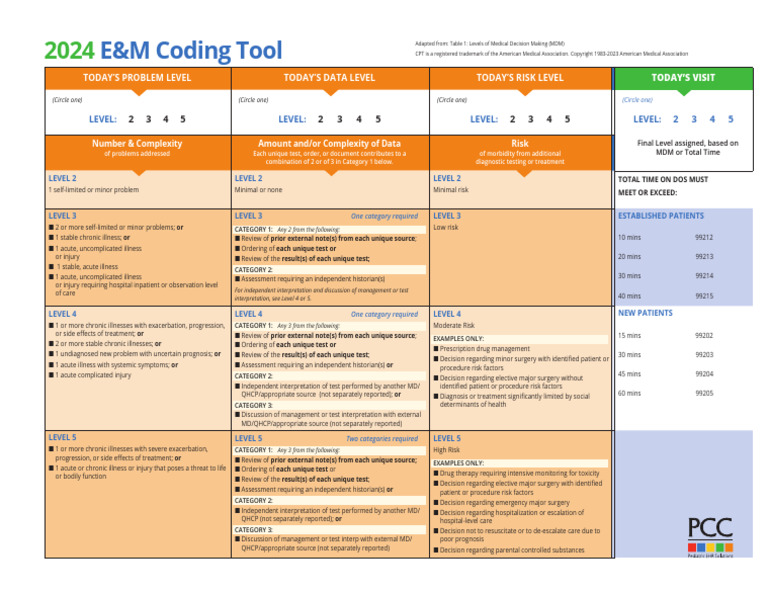 PCCs EMCoding Tool | PDF